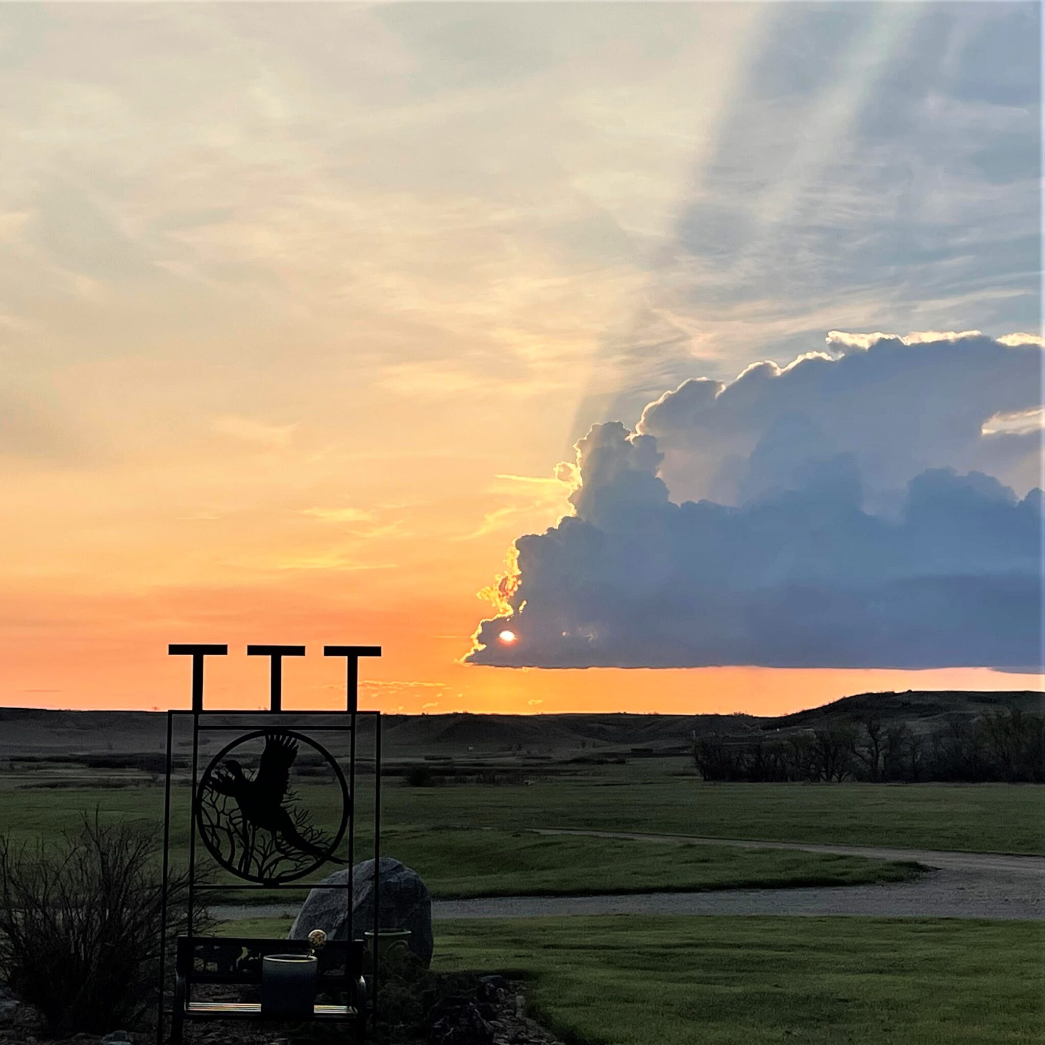 Danita Bye | Achieve Breakthrough Leadership Performance by Cultivating ...