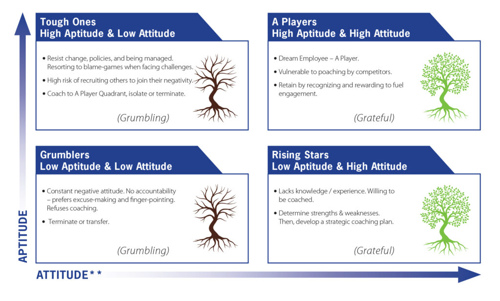 Danita Bye | Navigating Grumbler Territory: Leadership Strategy for ...