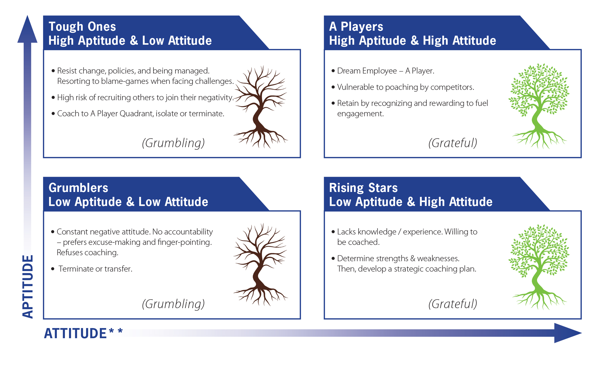 Danita Bye | Navigating Grumbler Territory: Leadership Strategy for ...