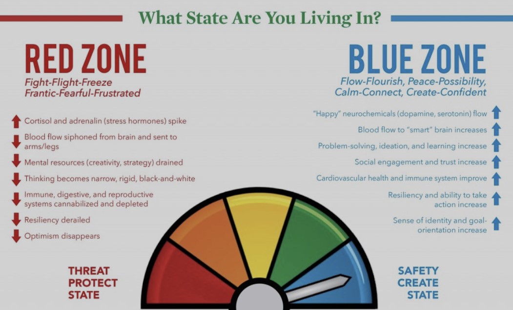 Danita Bye | Blue Zone Leadership: Expanding Leadership Influence with ...