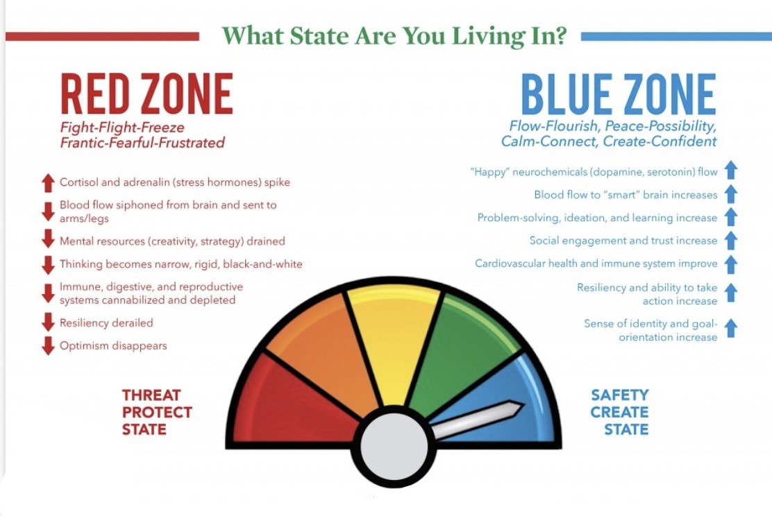 Danita Bye | Blue Zone Leadership Strategy: Start Improving Business ...